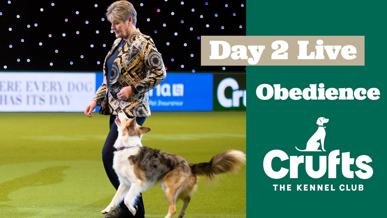 Obedience Day 2 LIVE | Inter-Regional Obedience | Crufts 2025 - Total ...
