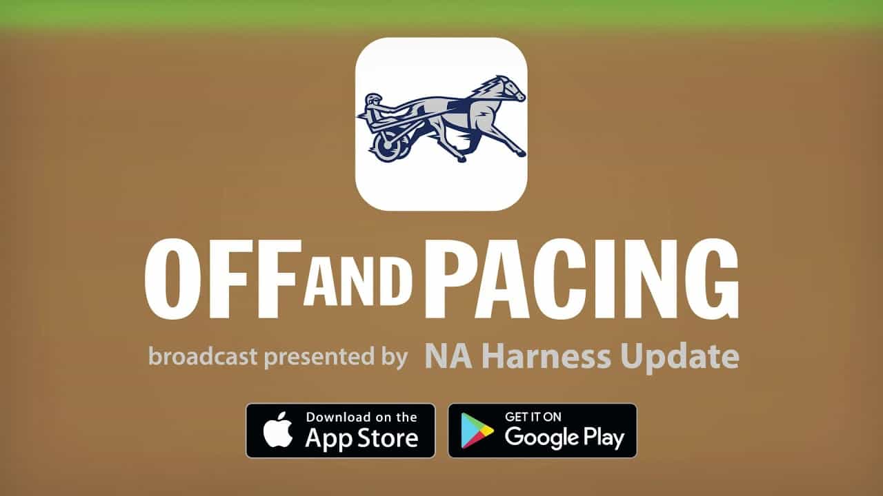 Off And Pacing | LIVE - Total Horse Channel | Equestrian TV