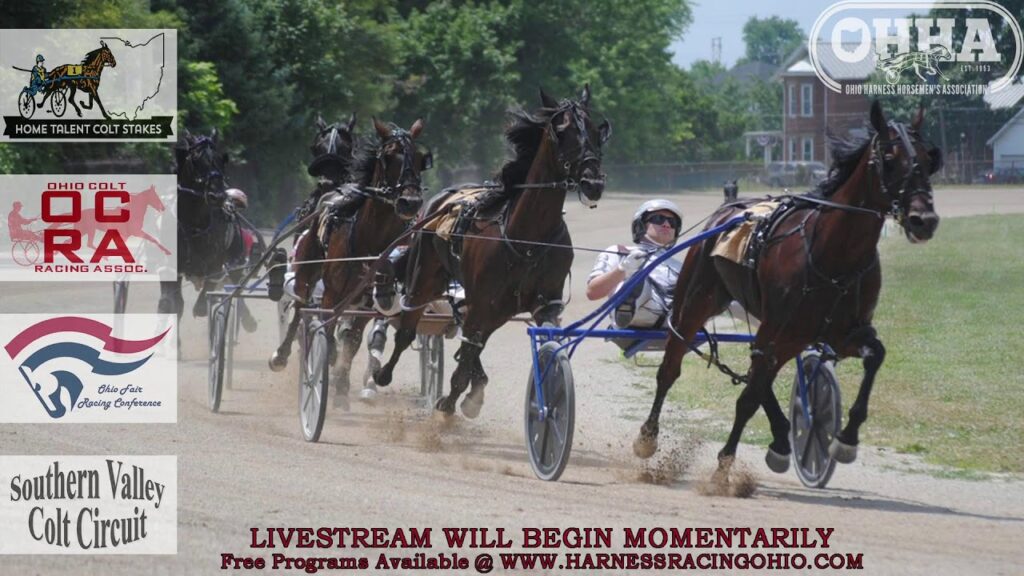 LIVE Events - Total Horse Channel | Equestrian TV