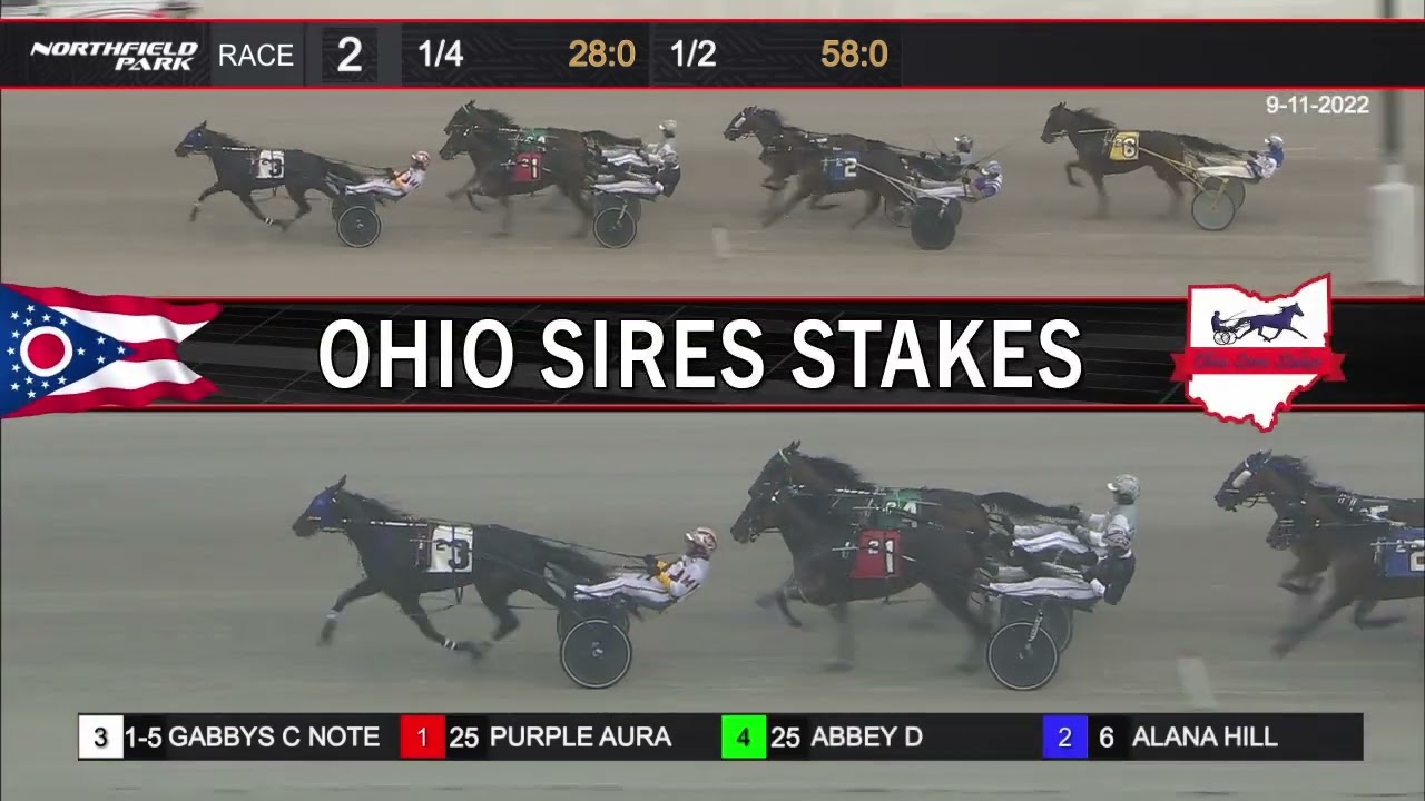 Ohio Sires Stakes | 3 Year Old Fillies 4th Leg 1st Division - Total ...