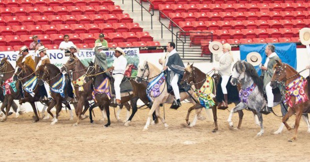 Gold Rush Peruvian Classic | LIVE - Total Horse Channel | Equestrian TV