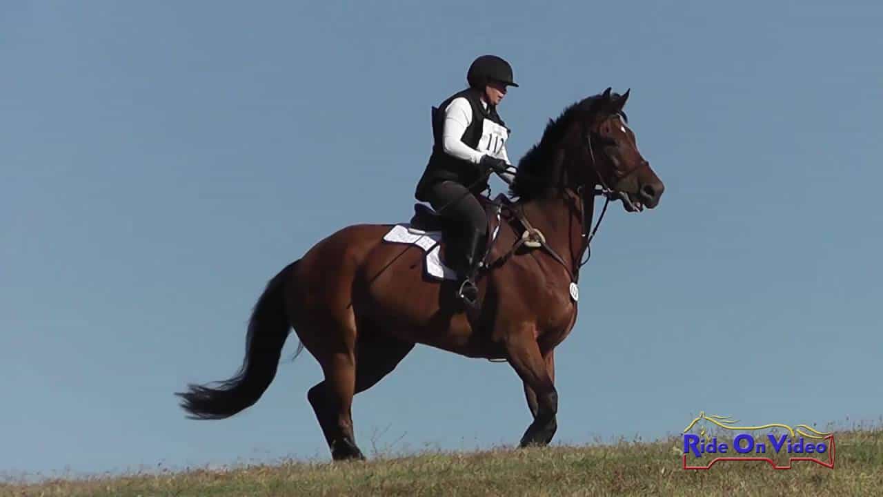 Prince Noah SR Novice Cross Country - Total Horse Channel | Equestrian TV