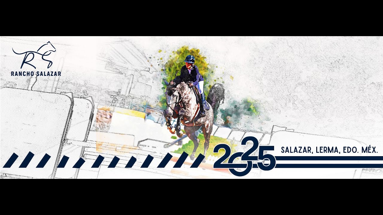 Prueba 7 – A)8 AÑOS / B)LIBRE 1.35M CI BANCO - Total Horse Channel ...