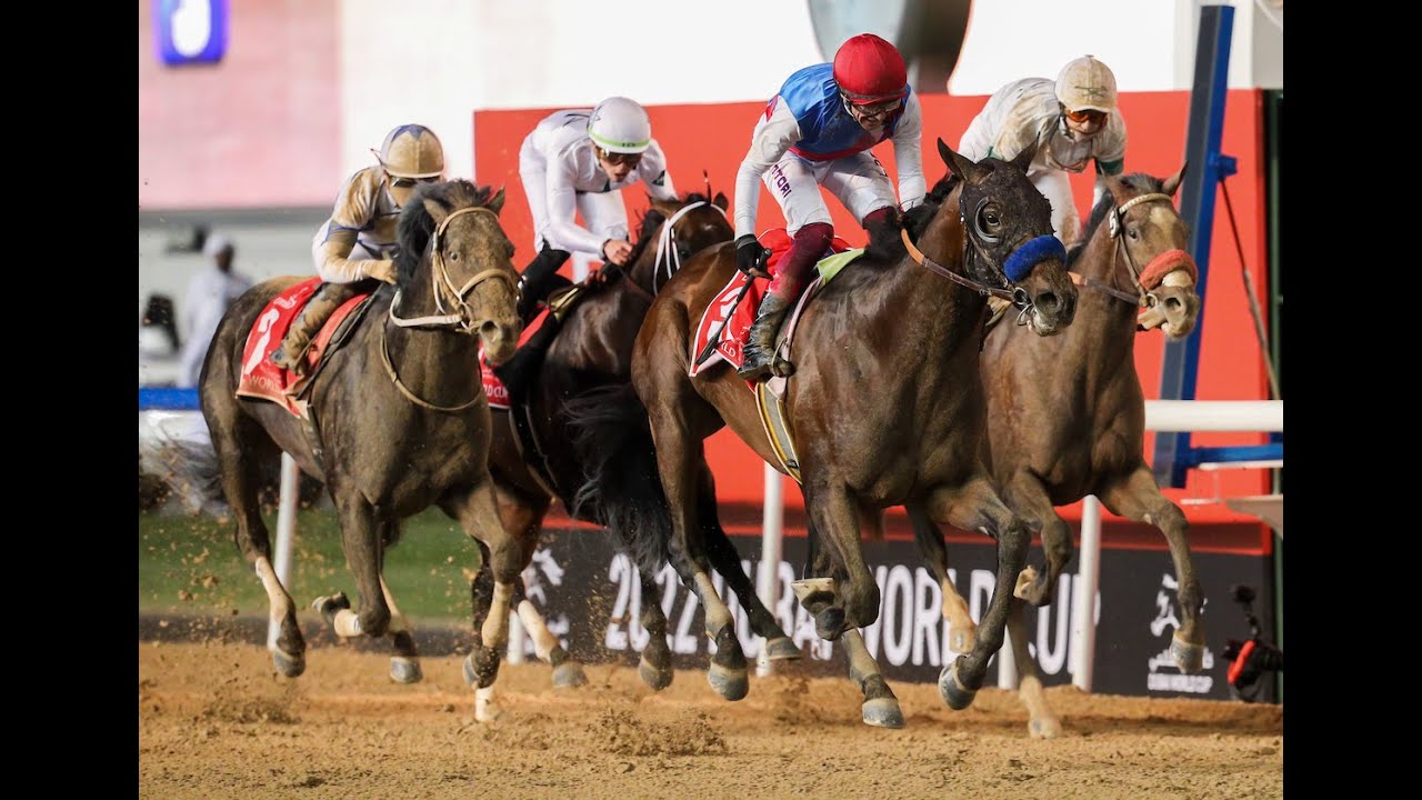 Racing TV | LIVE 2025 Dubai World Cup meeting - Total Horse Channel ...
