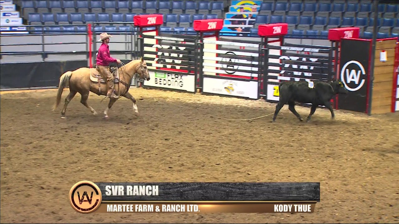 Ranch Rodeo — Agribition Ranch Rodeo - Total Horse Channel | Equestrian TV