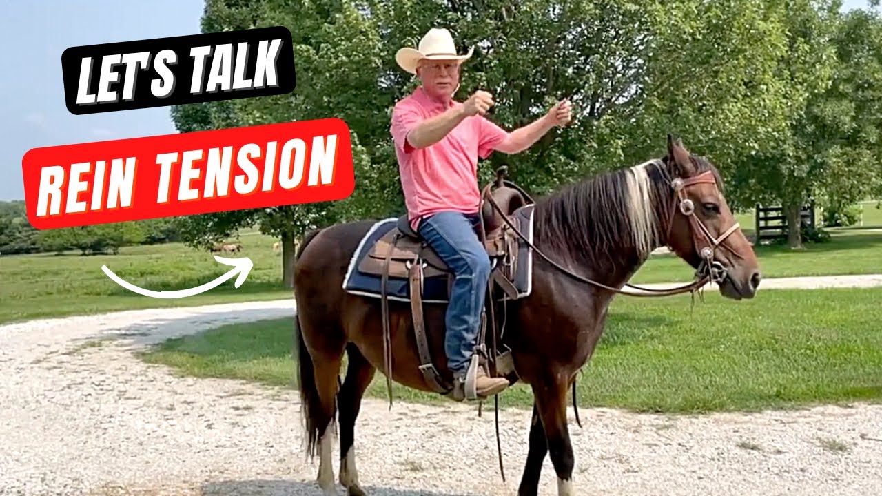 Rein Tension – Does A Tight Rein Cause A Horse To Rear? - Total Horse ...