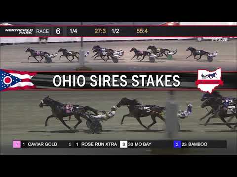 ROSE RUN XTRA | OHIO SIRES STAKES 3 YEAR OLD COLTS & GELDINGS - Total ...