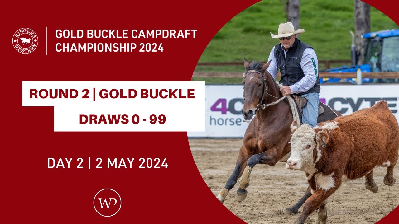 ROUND 2 | Ringers Western Gold Buckle Campdraft Championship 2024 ...