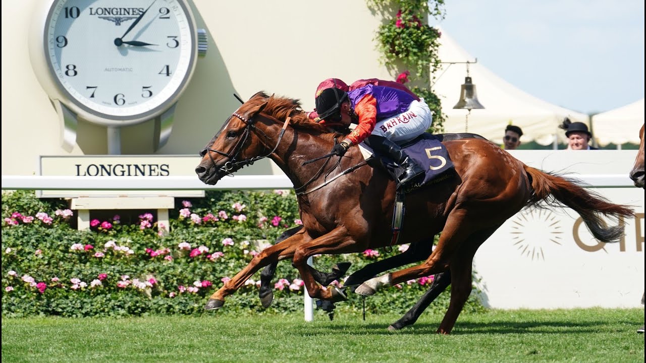 Horse Racing Live | June 18th, 2024 - Total Horse Channel | Equestrian TV