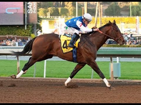 Runhappy: The Documentary - Total Horse Channel | Equestrian TV