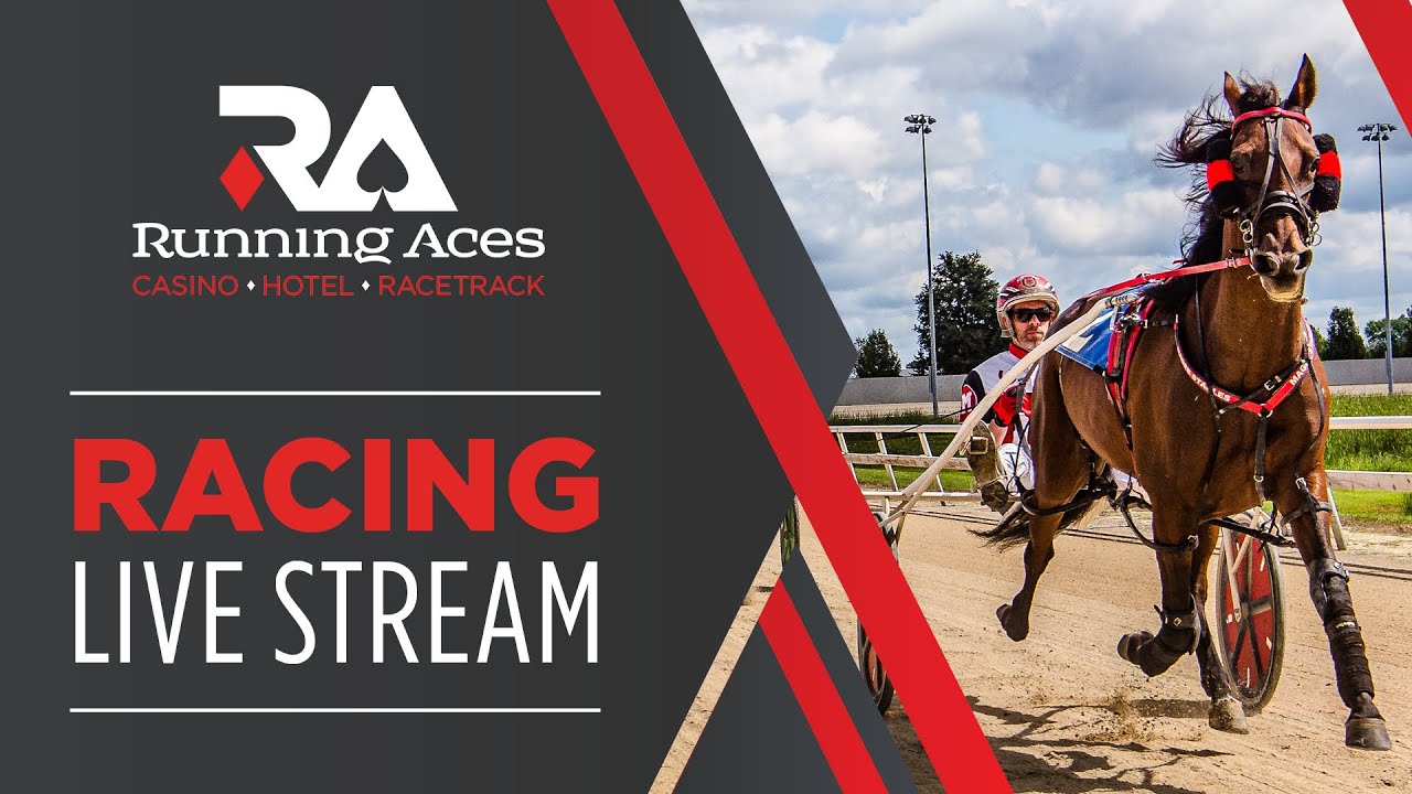 Running Aces – 08/19/25 Live Stream - Total Horse Channel | Equestrian TV