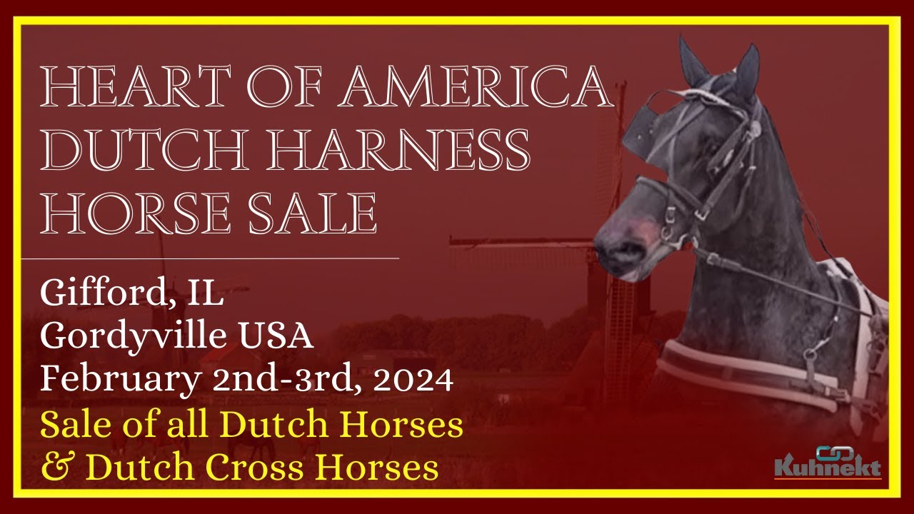 Sale of All Dutch and Dutch Cross Horses Day 2 – 2024 Heart of America ...