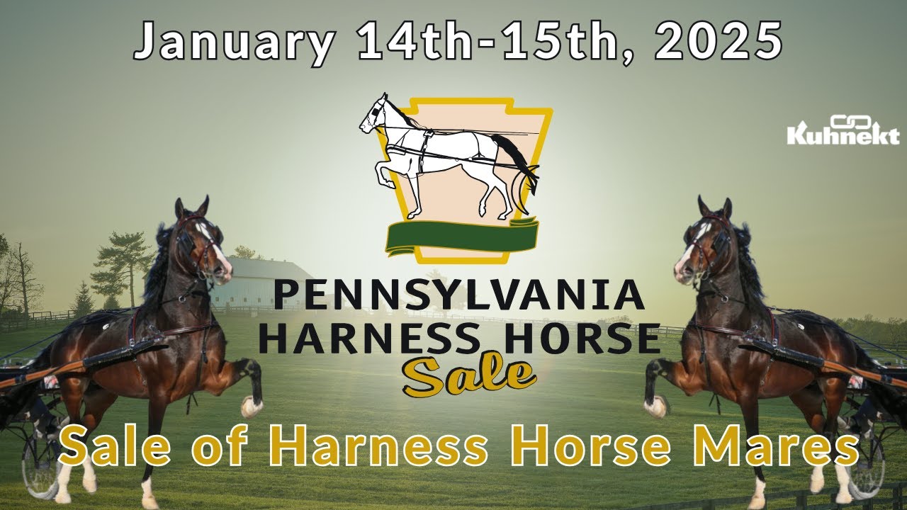 Sale of All Harness Horse Mares & Yearlings | 2025 Pennsylvania Harness ...