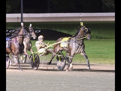 Scioto Downs Super Night Jim Ewart Memorial - Total Horse Channel ...