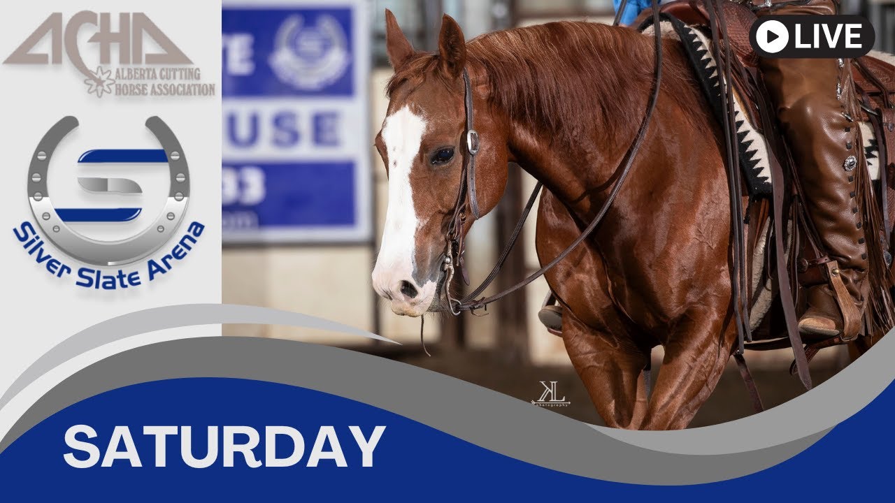 Silver Slate ACHA May Show | Saturday - Total Horse Channel | Equestrian TV