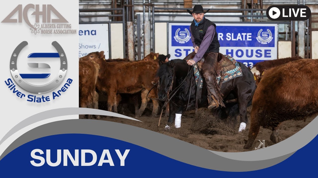 Silver Slate ACHA May Show | Sunday - Total Horse Channel | Equestrian TV