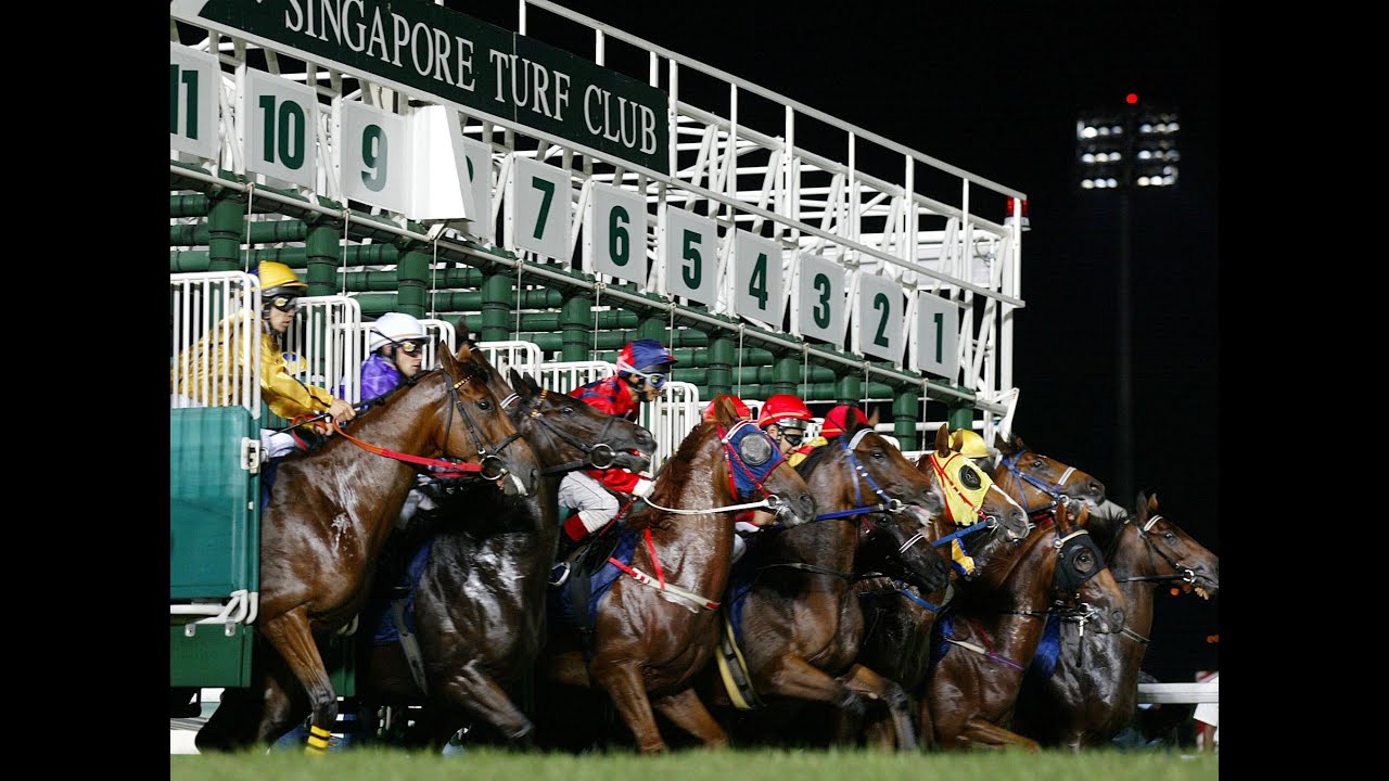 Singapore Horse Racing Live 18/08/2024 - Total Horse Channel ...