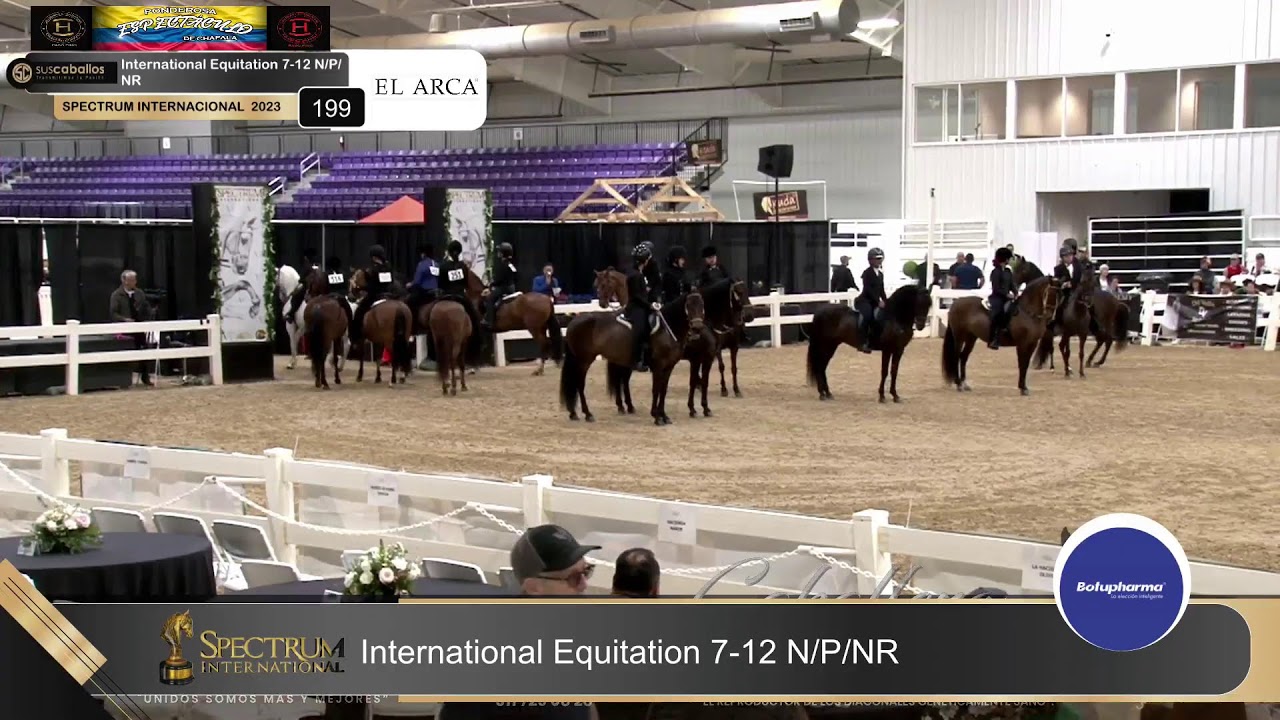 SPECTRUM INTERNACIONAL DIA 4 – WORLD EQUESTRIAN CENTER - Total Horse ...