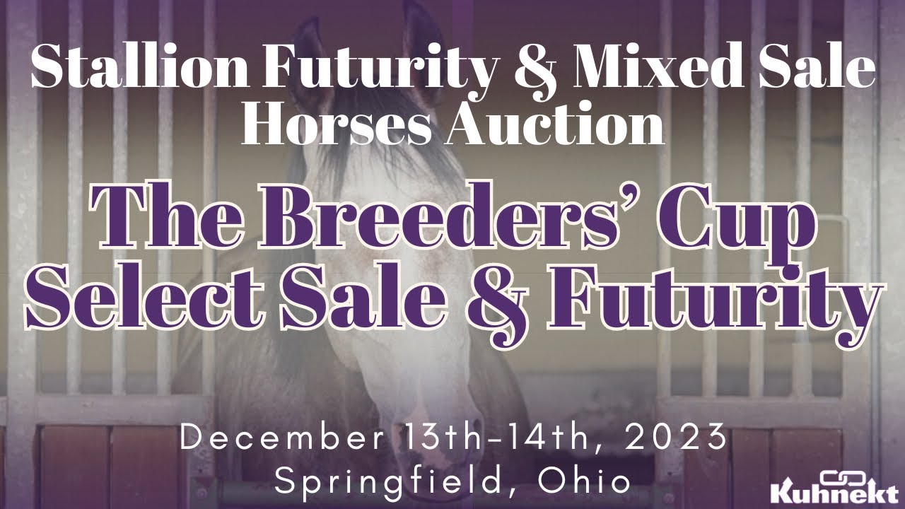 Stallion Futurity & Mixed Sale Horses Auction – 2023 Breeder’s Cup ...