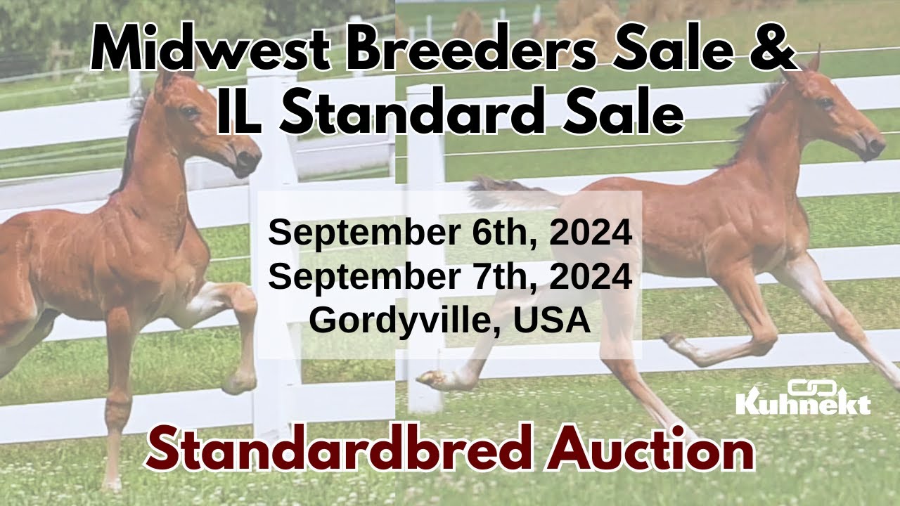 Standardbred Auction – 2024 Midwest Breeders Sale & IL Standard Sale ...