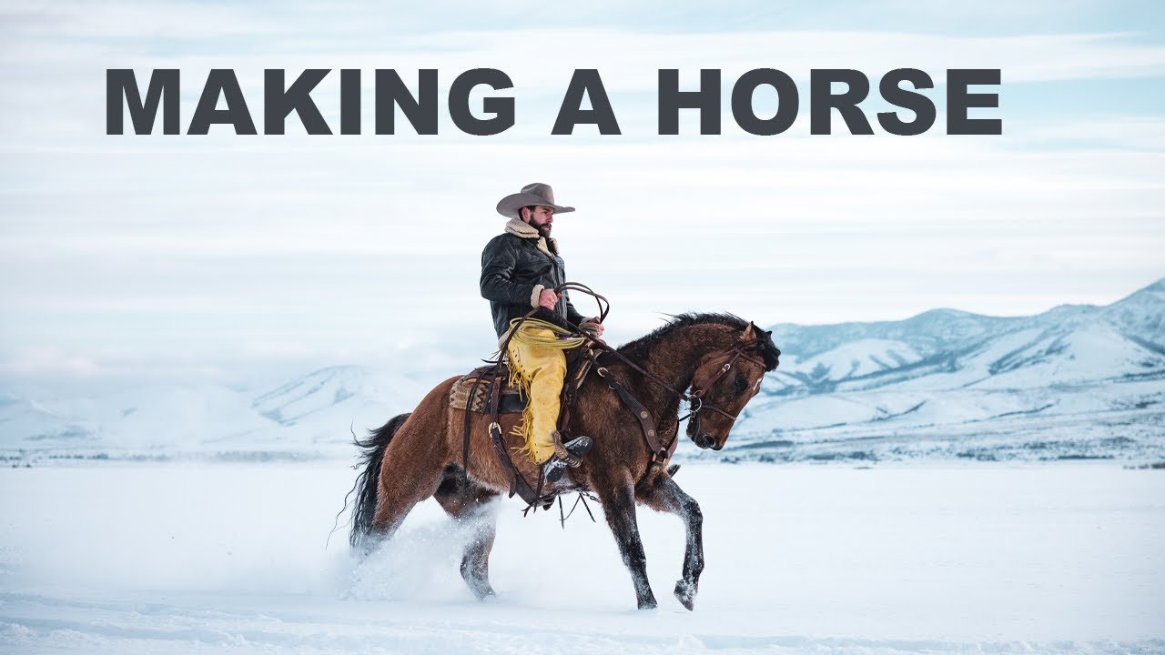 Stonefield Ranch | Making A Horse - Total Horse Channel | Equestrian TV