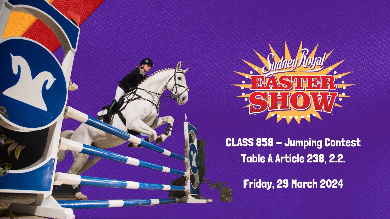 Sydney Royal Easter Show | CLASS 508 – The F L Crane Best Mare or Filly ...