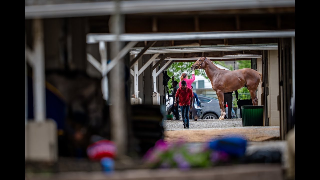 Take a Tour Around the Churchill Downs Backside - Total Horse Channel ...