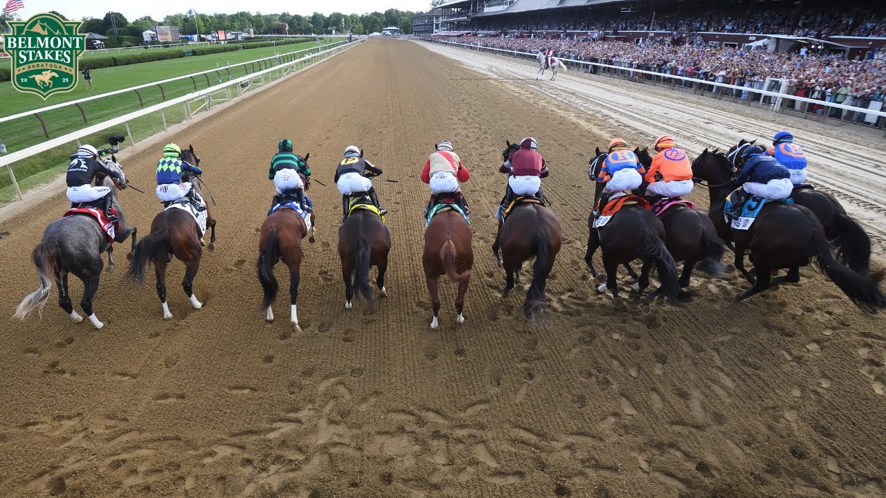 Talking Horses - Total Horse Channel | Equestrian TV