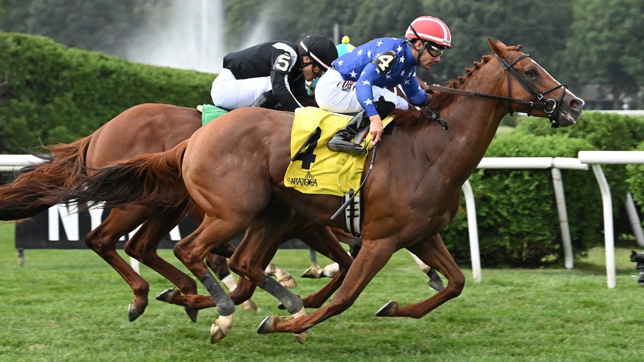 Talking Horses - Total Horse Channel | Equestrian TV