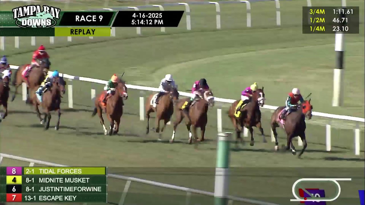 Tampa Bay Down – April 16th, 2025 - Total Horse Channel | Equestrian TV