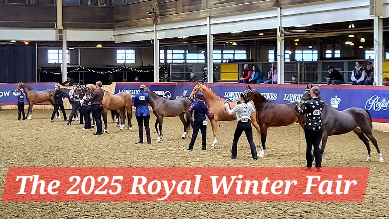 The 2025 Royal Agricultural Winter Fair - Total Horse Channel ...