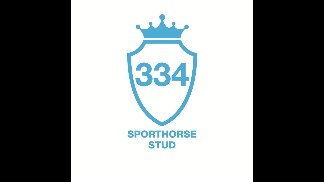 THE 334 SPORTHORSE STUD WORLD CUP QUALIFIER - Total Horse Channel ...