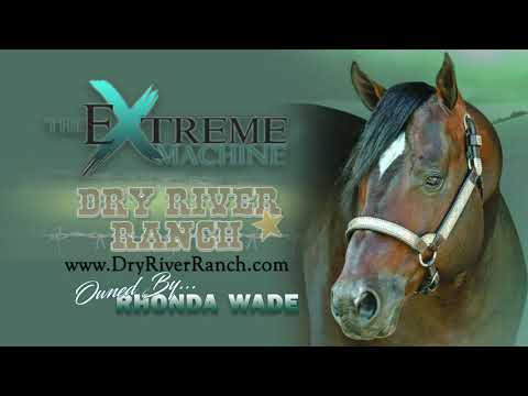 The Extreme Machine -AQHA Stallion – Total Horse Channel | Equestrian TV