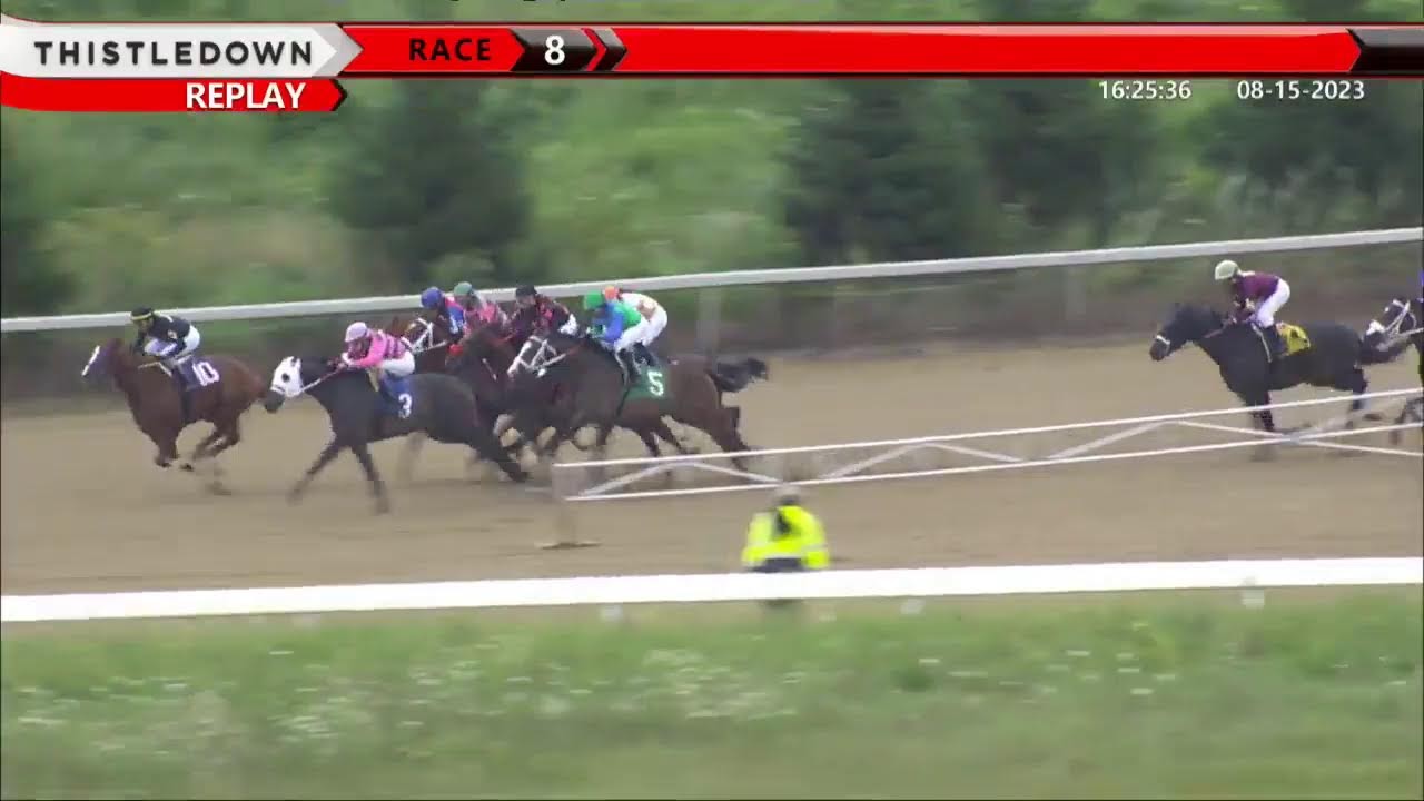 Thistledown Race Track | August 15th, 2023 - Total Horse Channel ...