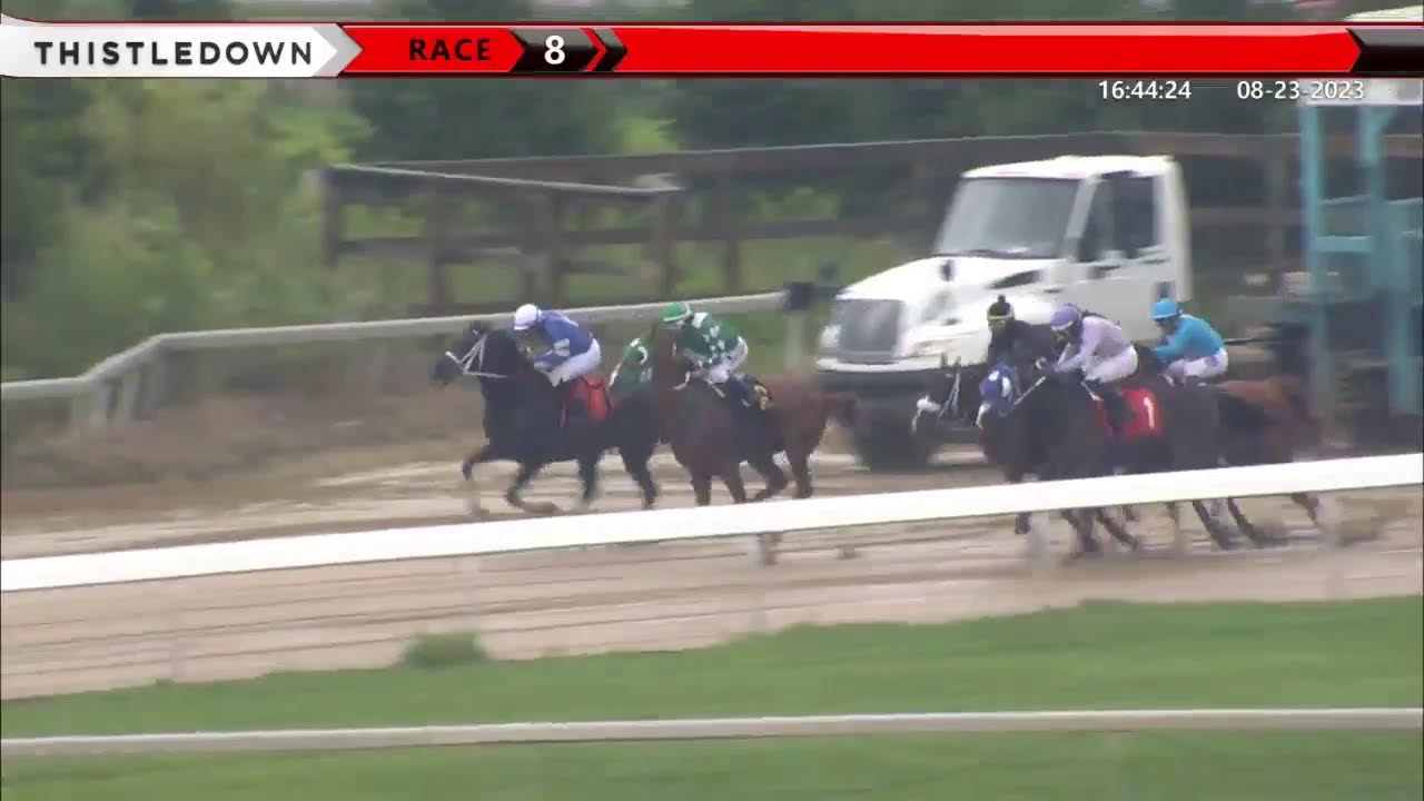 Thistledown Race Track | August 23rd, 2023 - Total Horse Channel ...