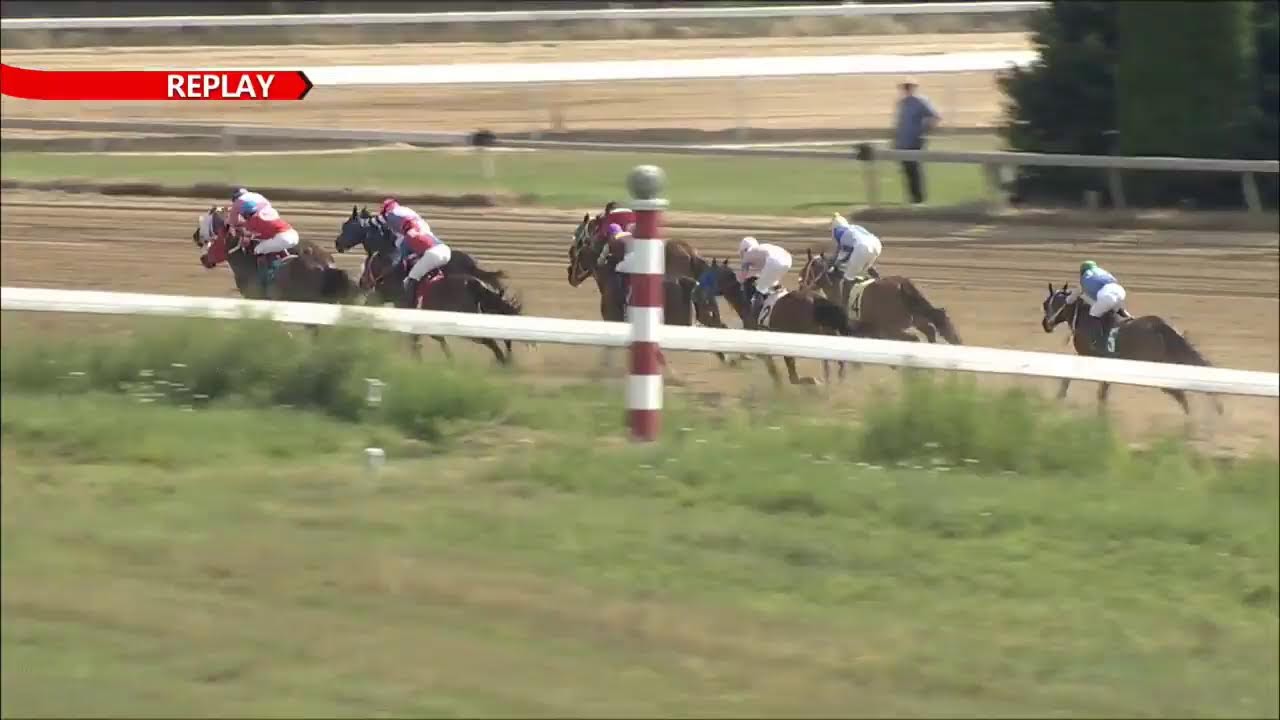 Thistledown Race Track – August 7th, 2025 - Total Horse Channel ...