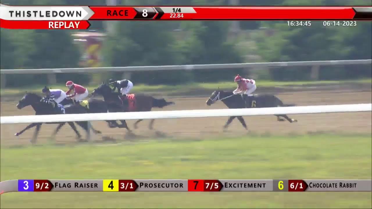 Thistledown Race Track | June 14th, 2023 - Total Horse Channel ...