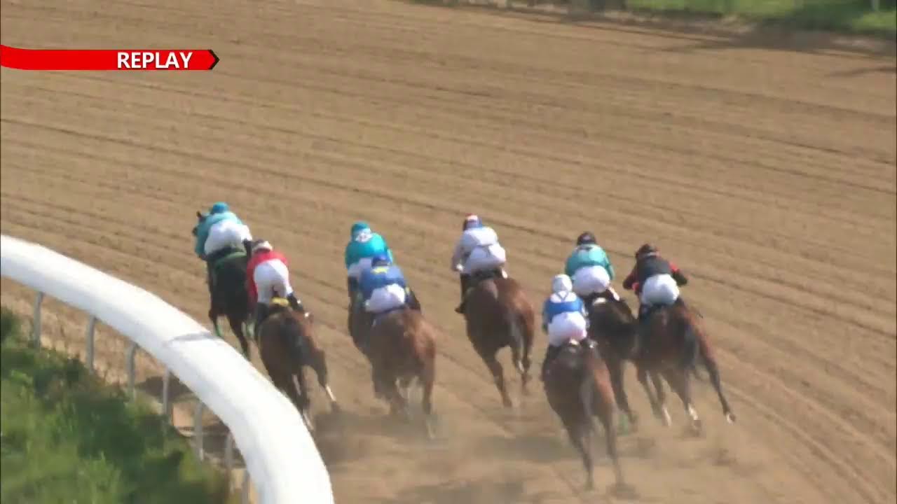Thistledown Race Track | May 13th, 2024 - Total Horse Channel ...