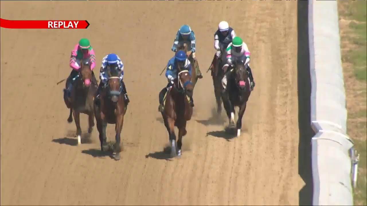 Thistledown Race Track | May 23rd, 2024 - Total Horse Channel ...