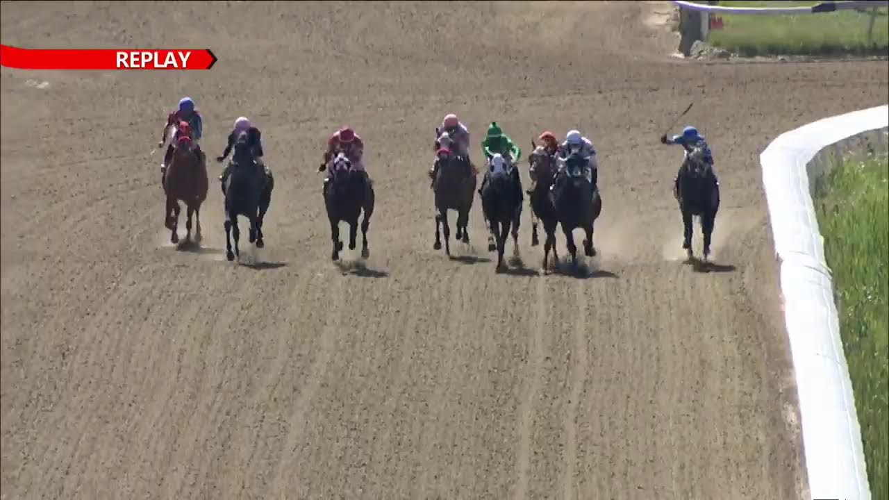 Thistledown Race Track | May 28th, 2024 - Total Horse Channel ...