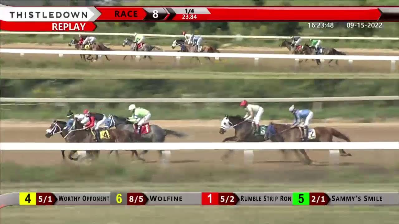 Thistledown Race Track | Sept. 15th 2022 - Total Horse Channel ...