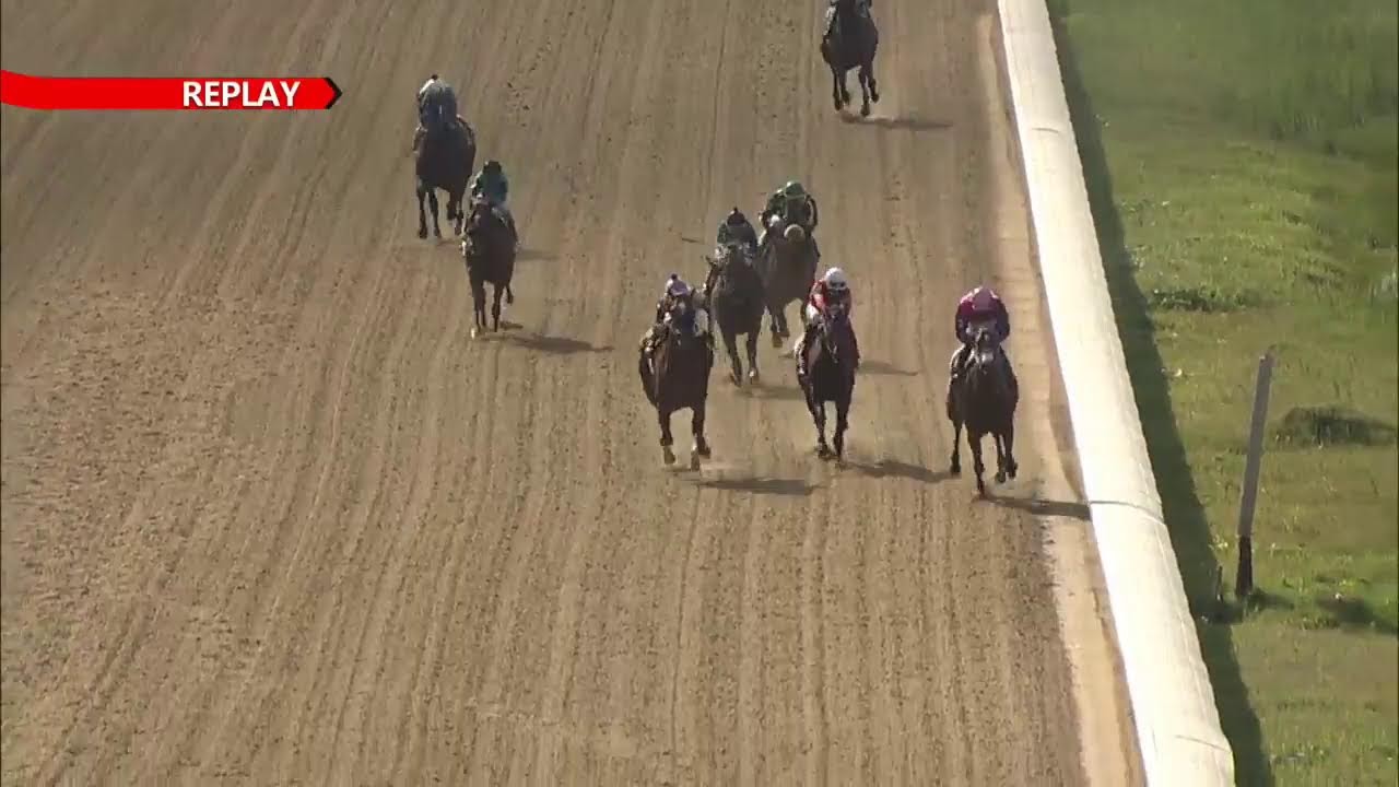 Thistledown Race Track | September 5th, 2023 - Total Horse Channel ...