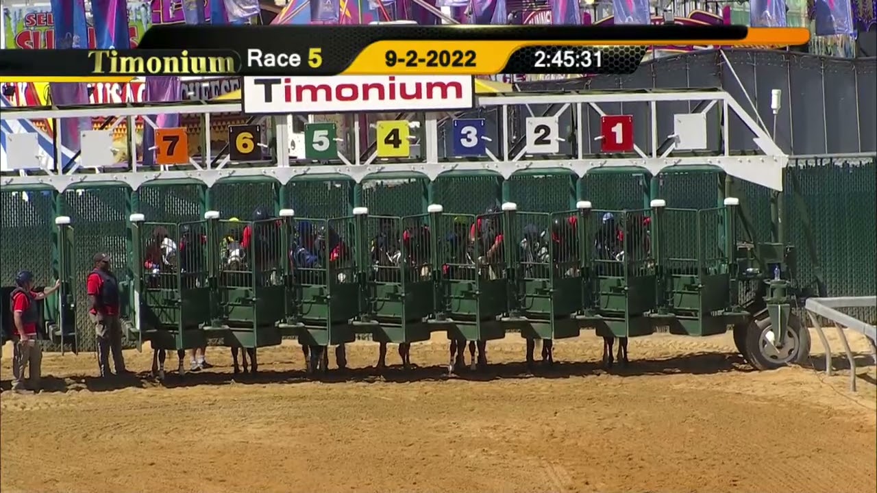 Timonium Replay Show | September 2nd, 2022 - Total Horse Channel ...