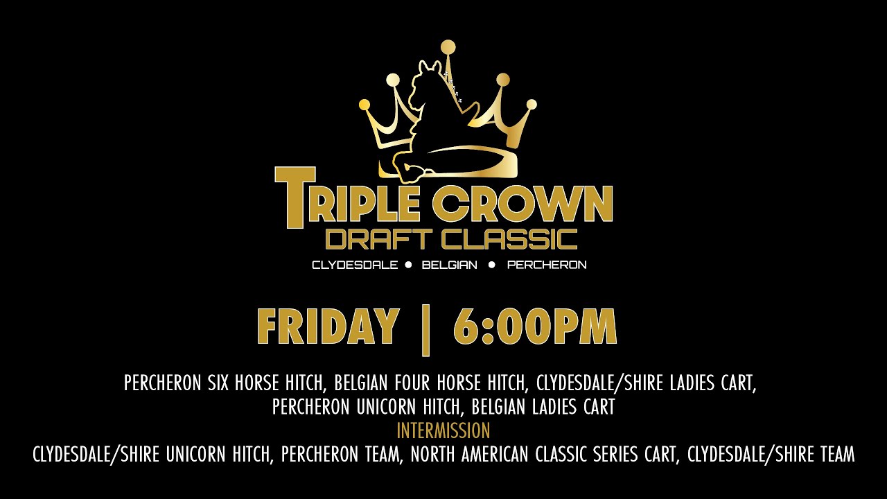 Triple Crown Draft Classic Show – Day 1 - Total Horse Channel ...