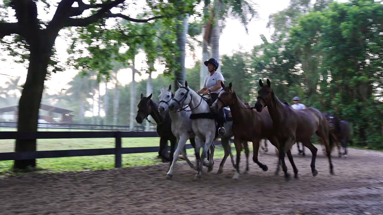 USPA Presents Never Enough Hours: Life of a Polo Groom – Total Horse ...