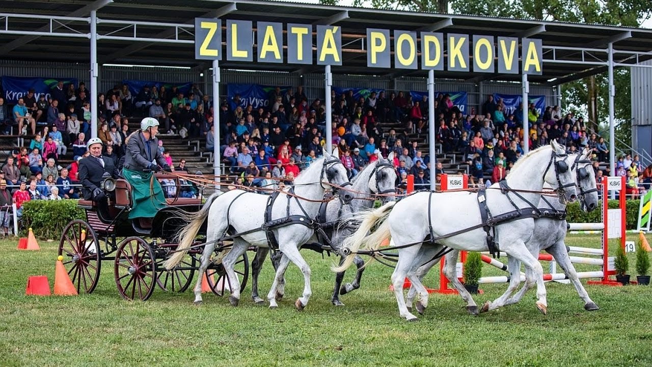 versatility and sledding – Golden Horseshoe Humpolec - Total Horse ...