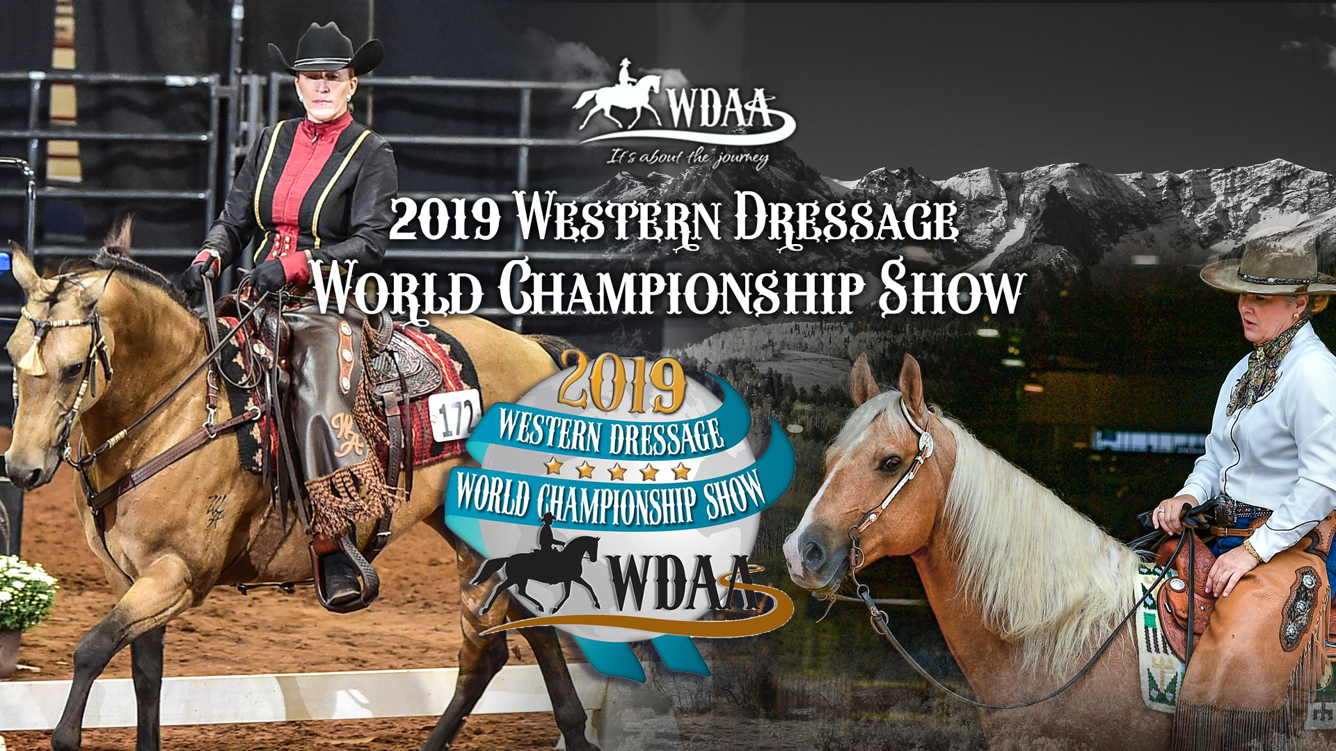 WDAA | LIVE | Ring 4 - Total Horse Channel | Equestrian TV