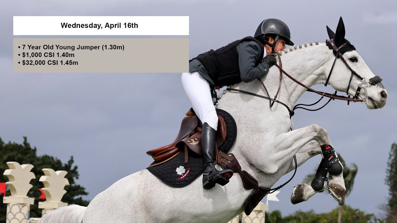 Wellington Equestrian Village Derby Field | Wednesday, April 16, 2025 ...