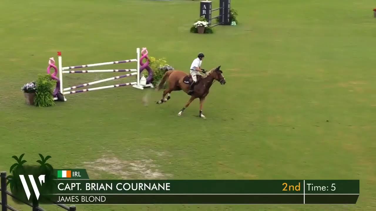 Wellington International | 1.40m Open Jumper Stake - Total Horse ...