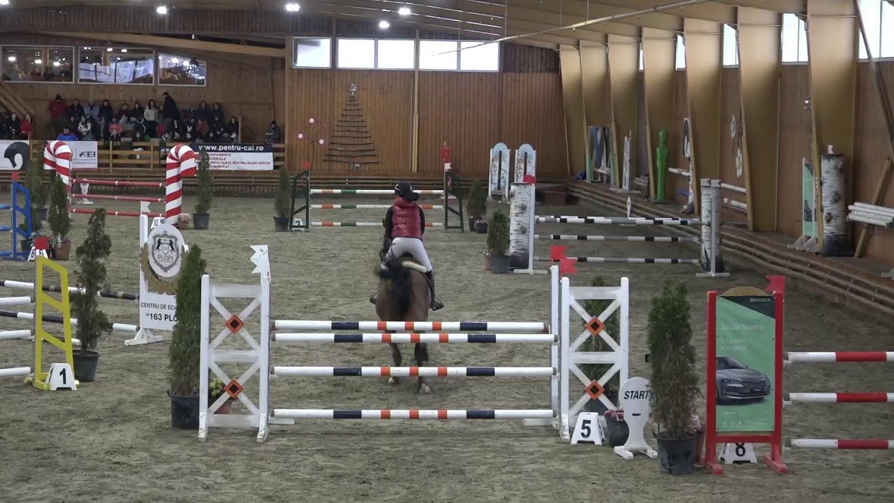 Winter Tour IV – 163 Plopi Prejmer - Total Horse Channel | Equestrian TV